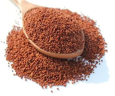Finger Millet / Country Ragi – Clean Harvest